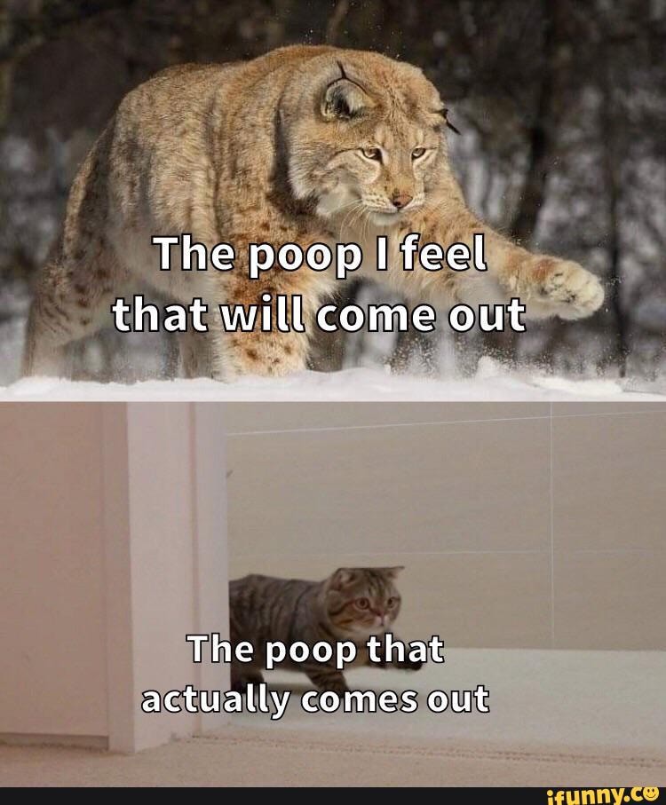 The poop I feel that will come out The poop that actually comes out ...