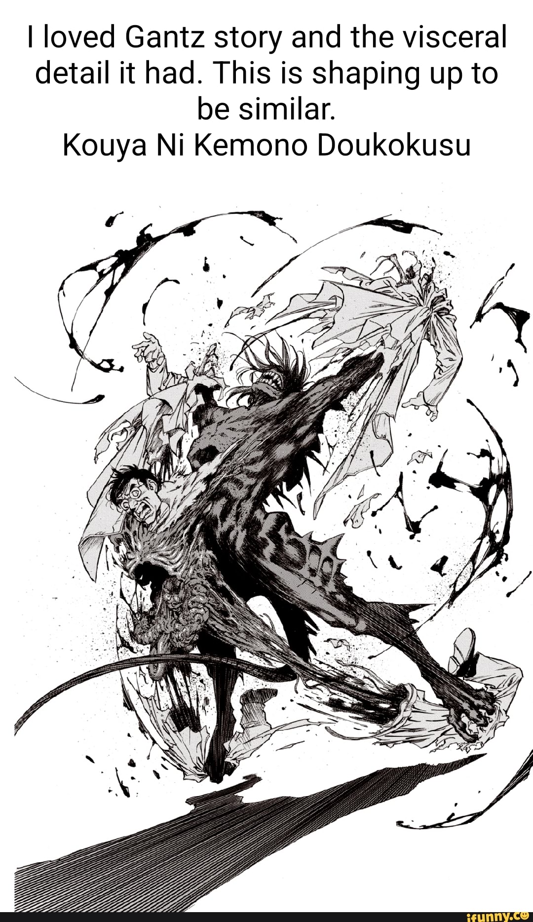 Kemono memes. Best Collection of funny Kemono pictures on iFunny