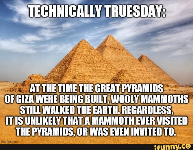 Wooly memes. Best Collection of funny Wooly pictures on iFunny