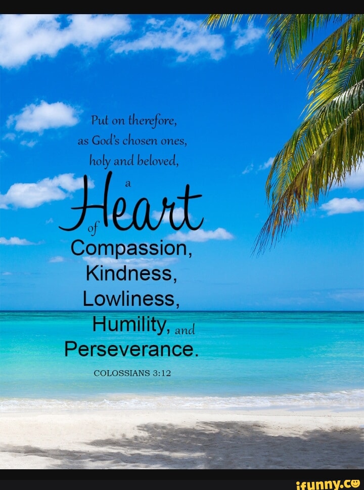 Perseverance memes. Best Collection of funny Perseverance pictures on ...