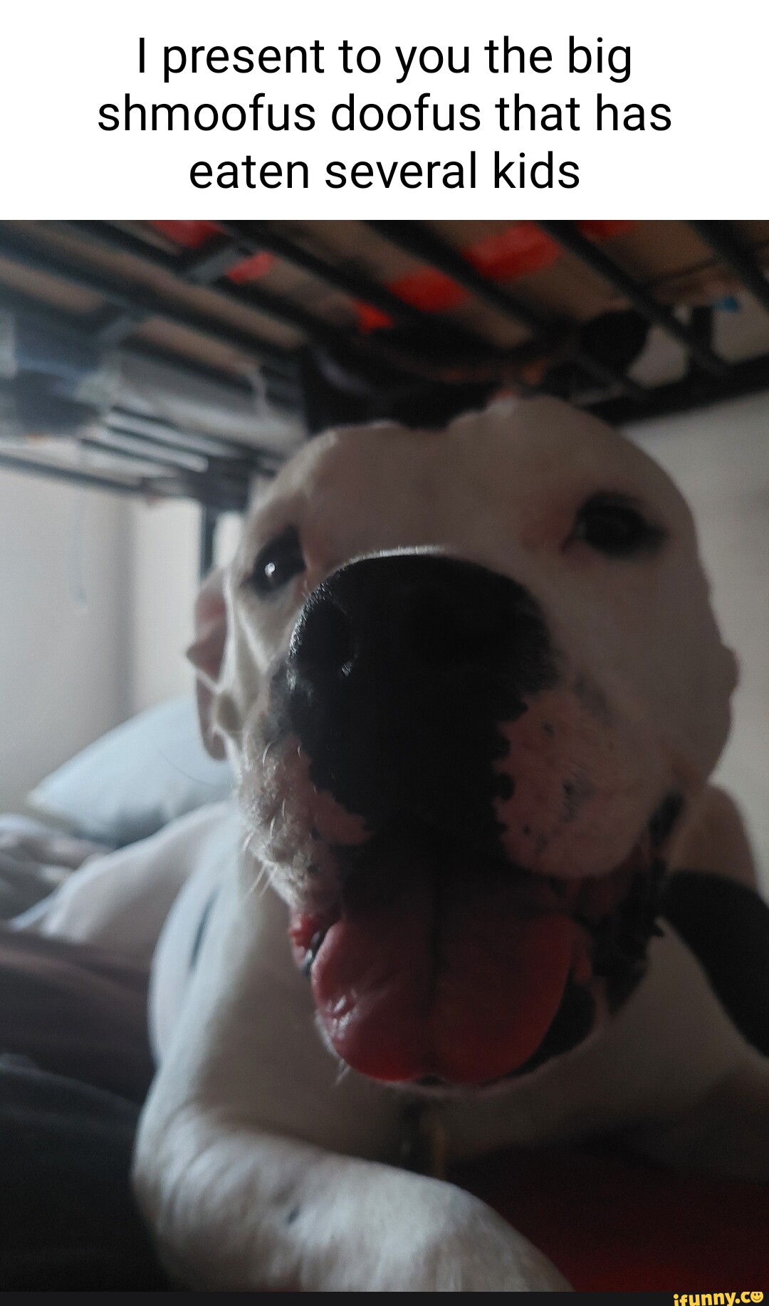 I present to you the big shmoofus doofus that has eaten several kids ...