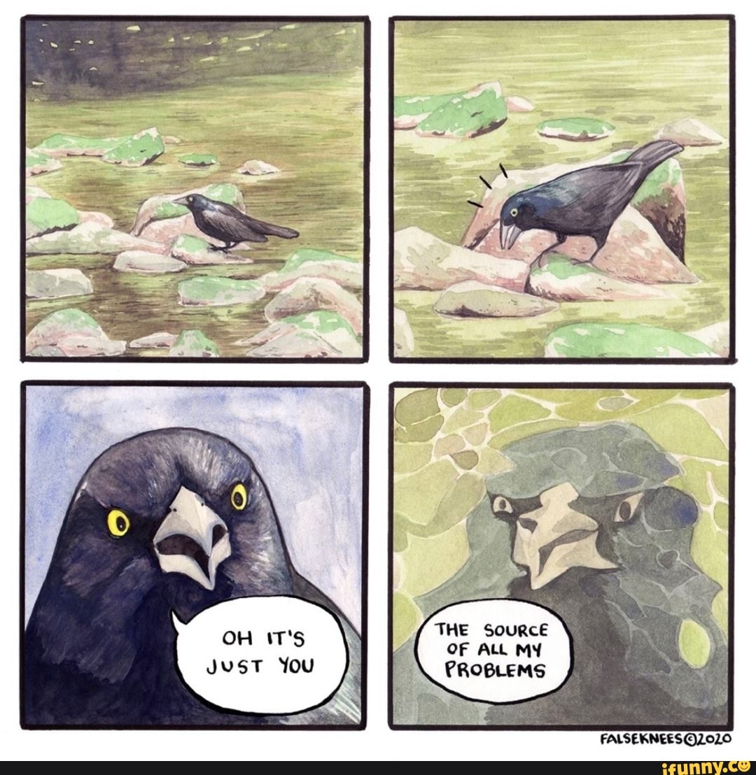 Crow memes. Best Collection of funny Crow pictures on iFunny