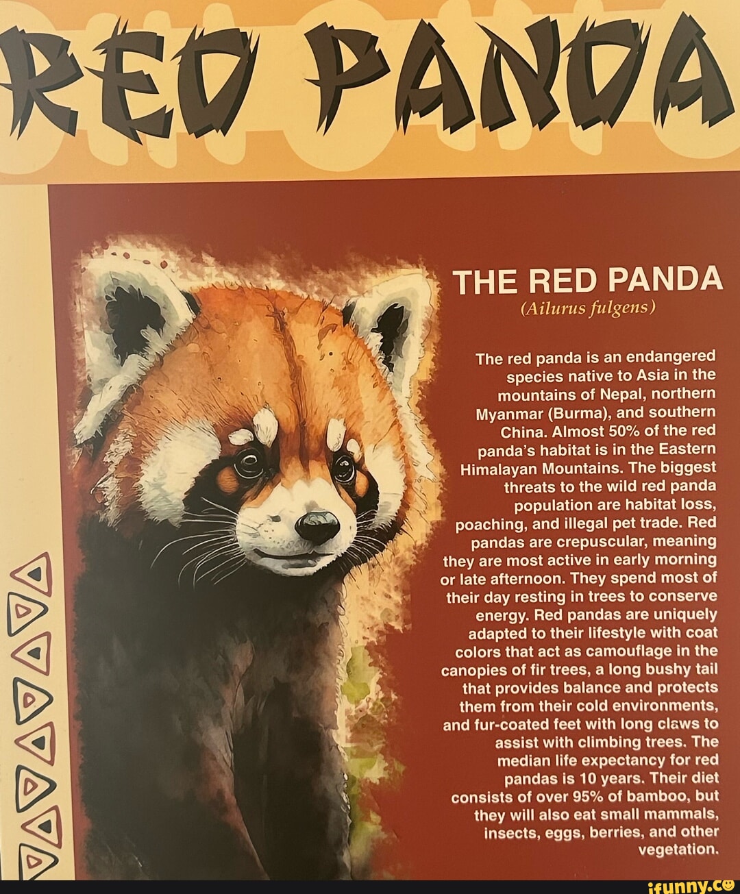 Himalayan memes. Best Collection of funny Himalayan pictures on iFunny