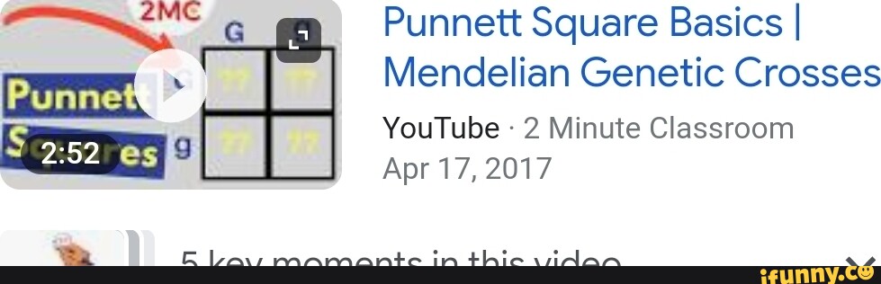 _G Punnett Square Basics I Mendelian Genetic Crosses YouTube - 2 Minute ...
