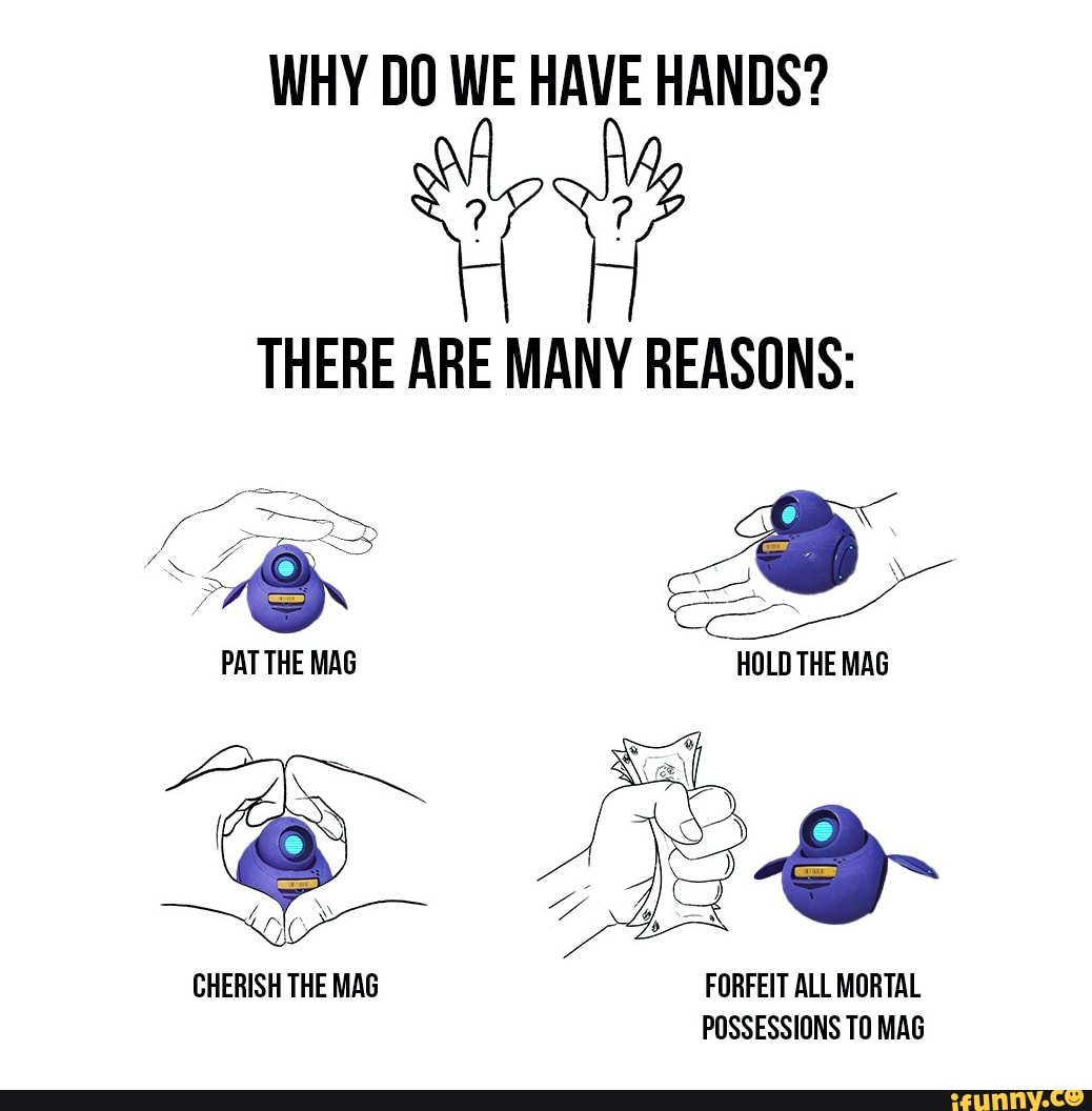 WHY DO WE HAVE HANDS? THERE ARE MANY REASONS: PAT THE MAG HOLD THE MAG ...