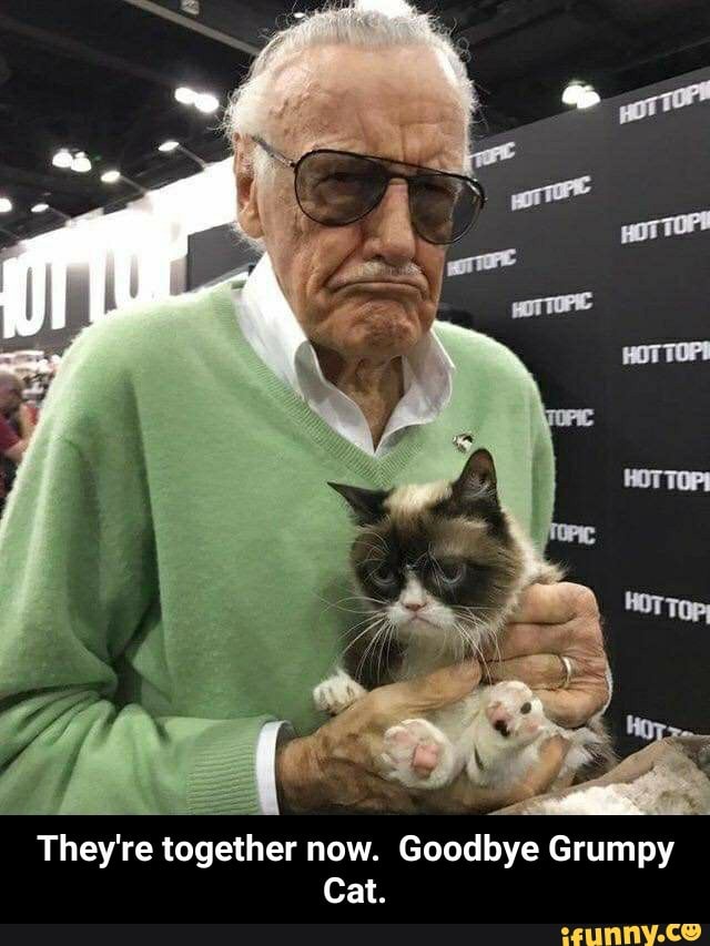 They're together now. Goodbye Grumpy Cat. - They're together now ...