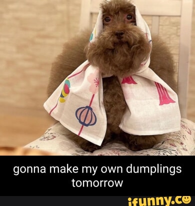 Dumplings memes. Best Collection of funny Dumplings pictures on iFunny