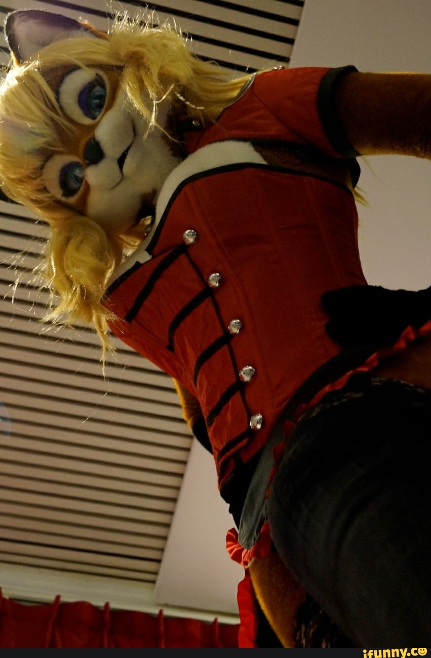 Winfoxi memes. Best Collection of funny Winfoxi pictures on iFunny