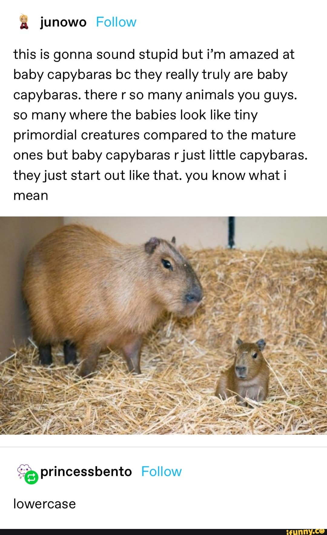 Primordial memes. Best Collection of funny Primordial pictures on iFunny