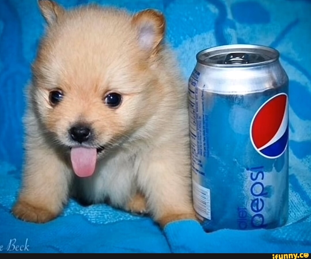 Pepsi memes. Best Collection of funny Pepsi pictures on iFunny