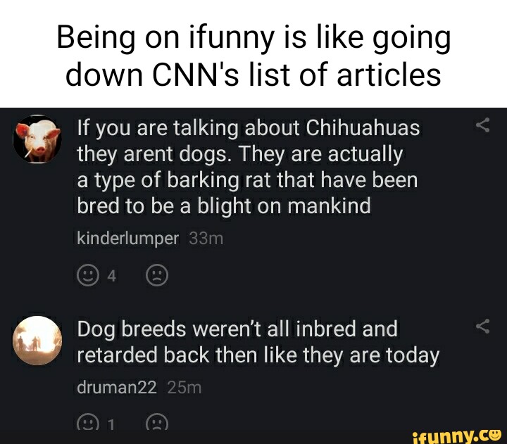 Bred memes. Best Collection of funny Bred pictures on iFunny
