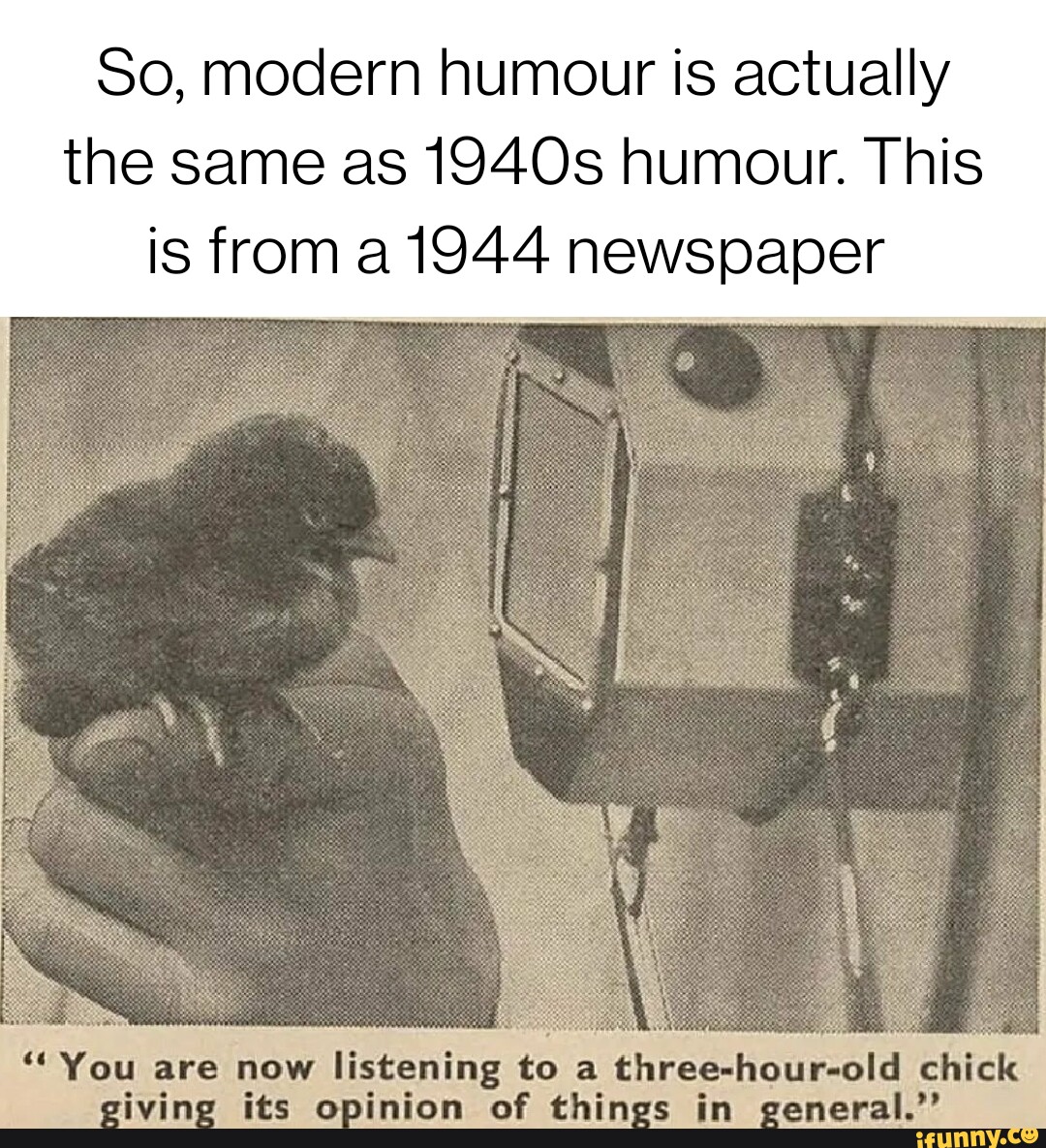 Video memes zjyqkBuXA by Jingle - iFunny