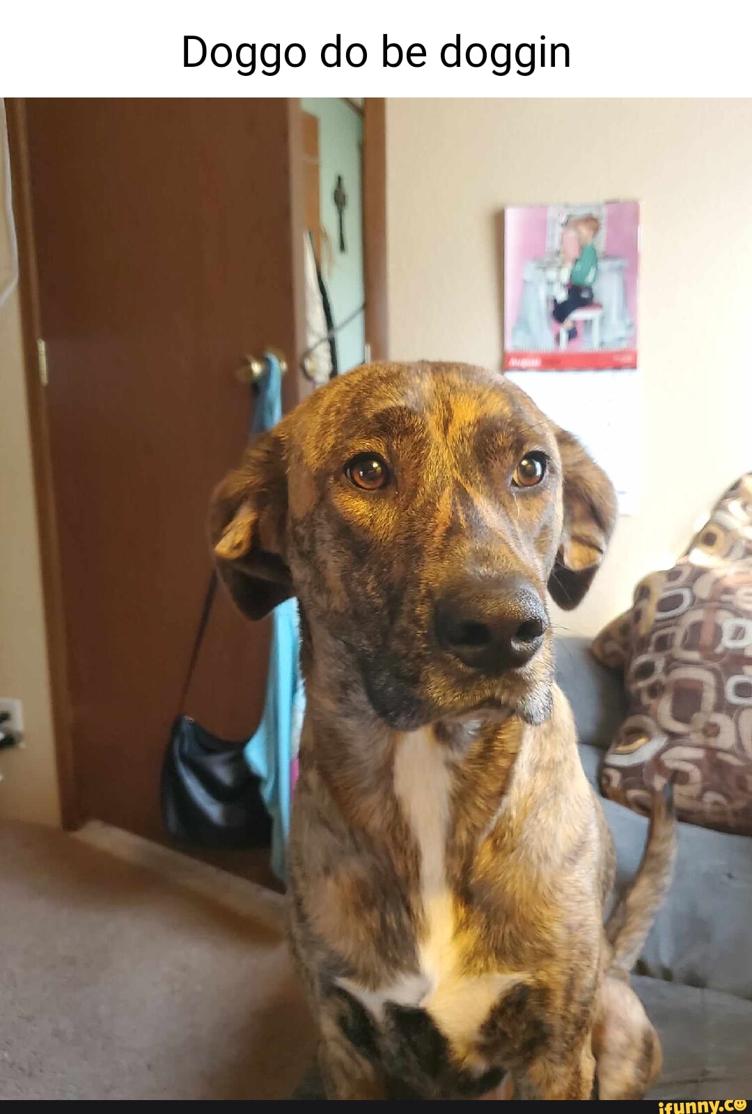 Doggin memes. Best Collection of funny Doggin pictures on iFunny