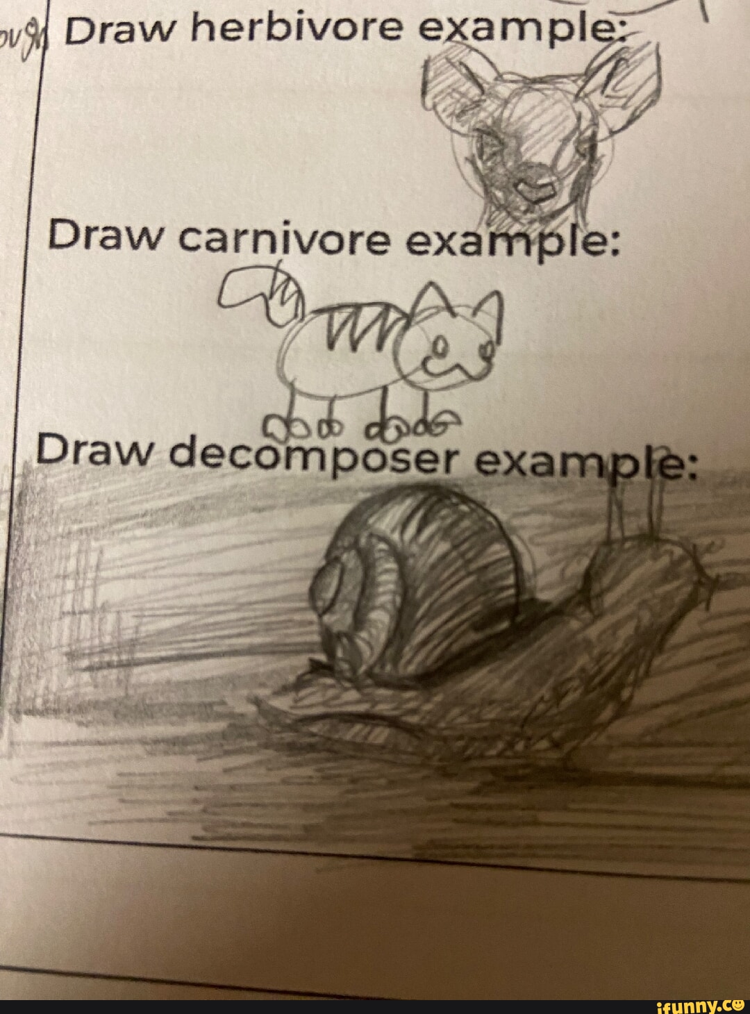Draw herbivore exampl Draw carnivore example: Draw decomp ex, - iFunny