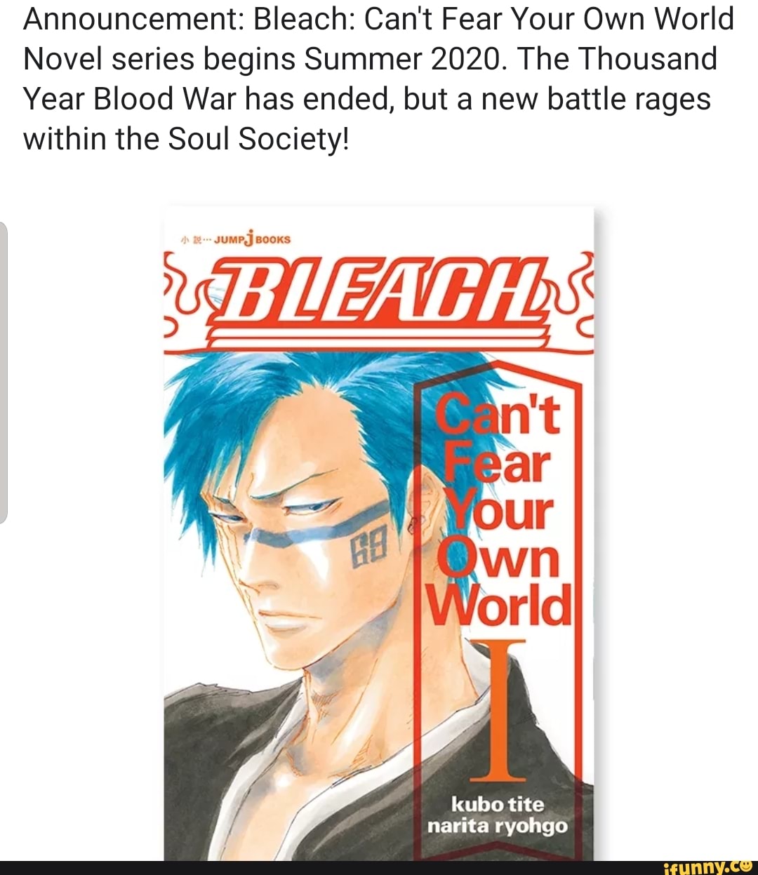 Announcement: Bleach: Can't Fear Your Own World Novel series begins ...