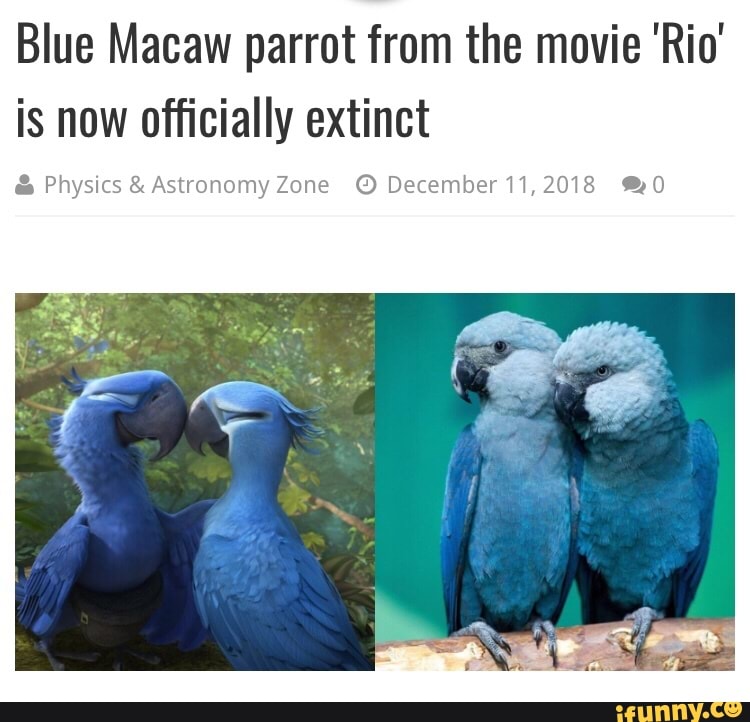 Anthropoceneextinction memes. Best Collection of funny ...