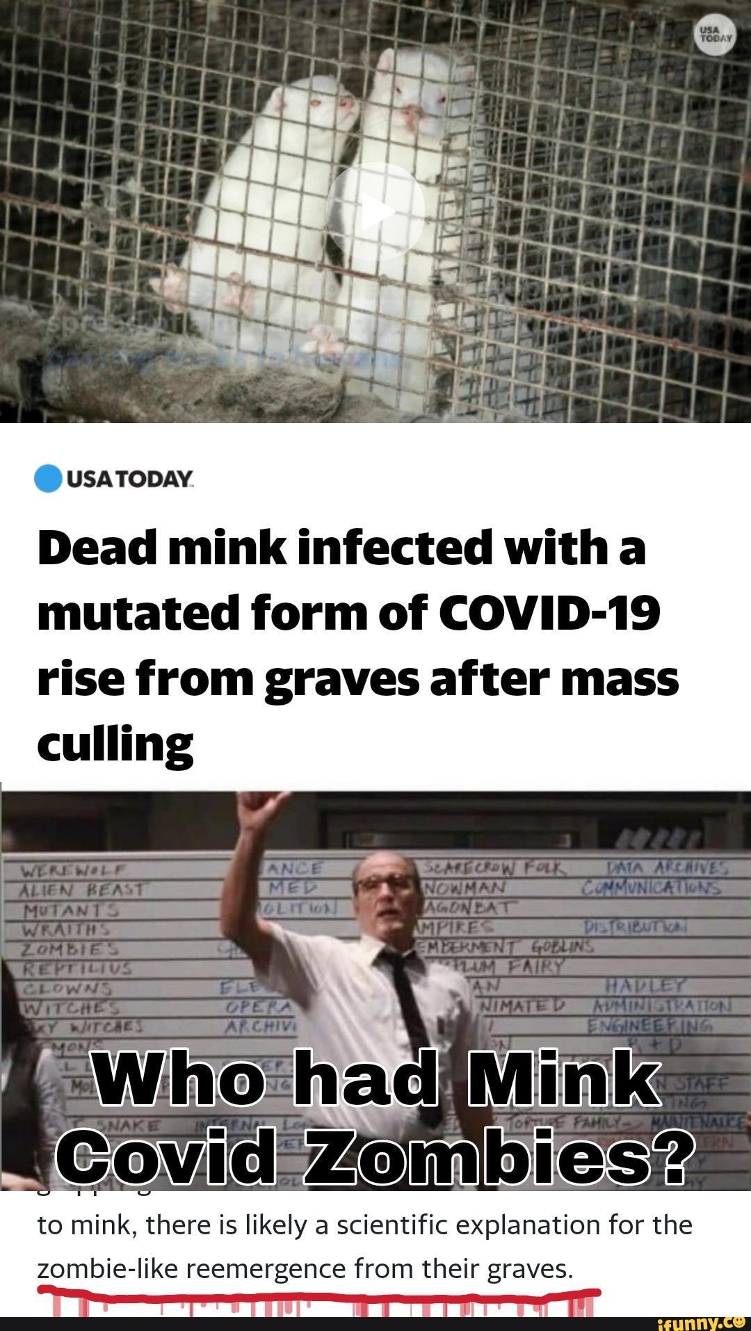 @ USATODAY. Dead mink infected with a mutated form of COVID-19 rise ...