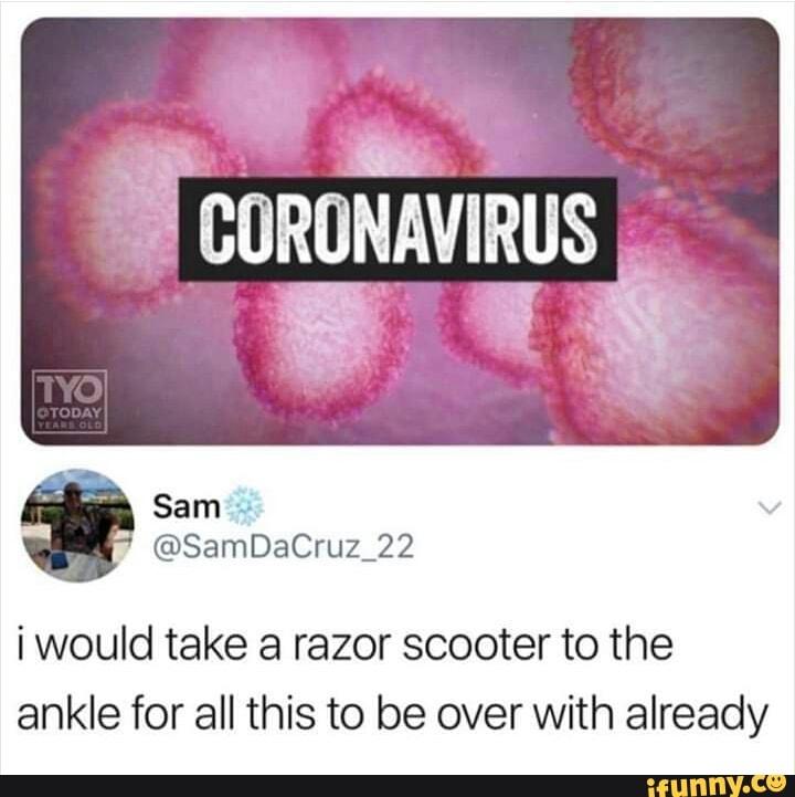 Razorscooter memes. Best Collection of funny Razorscooter pictures on ...