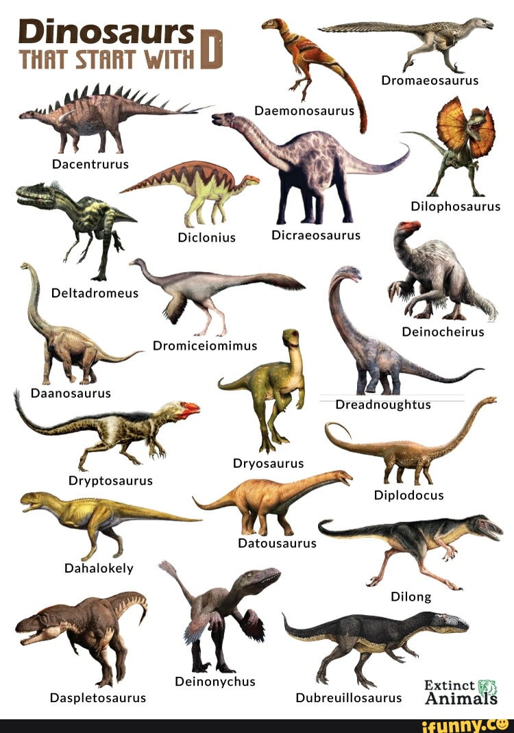 Dinosaurs THAT START WITH Dilophosaurus Daanosaurus Dreadnoughtus ...
