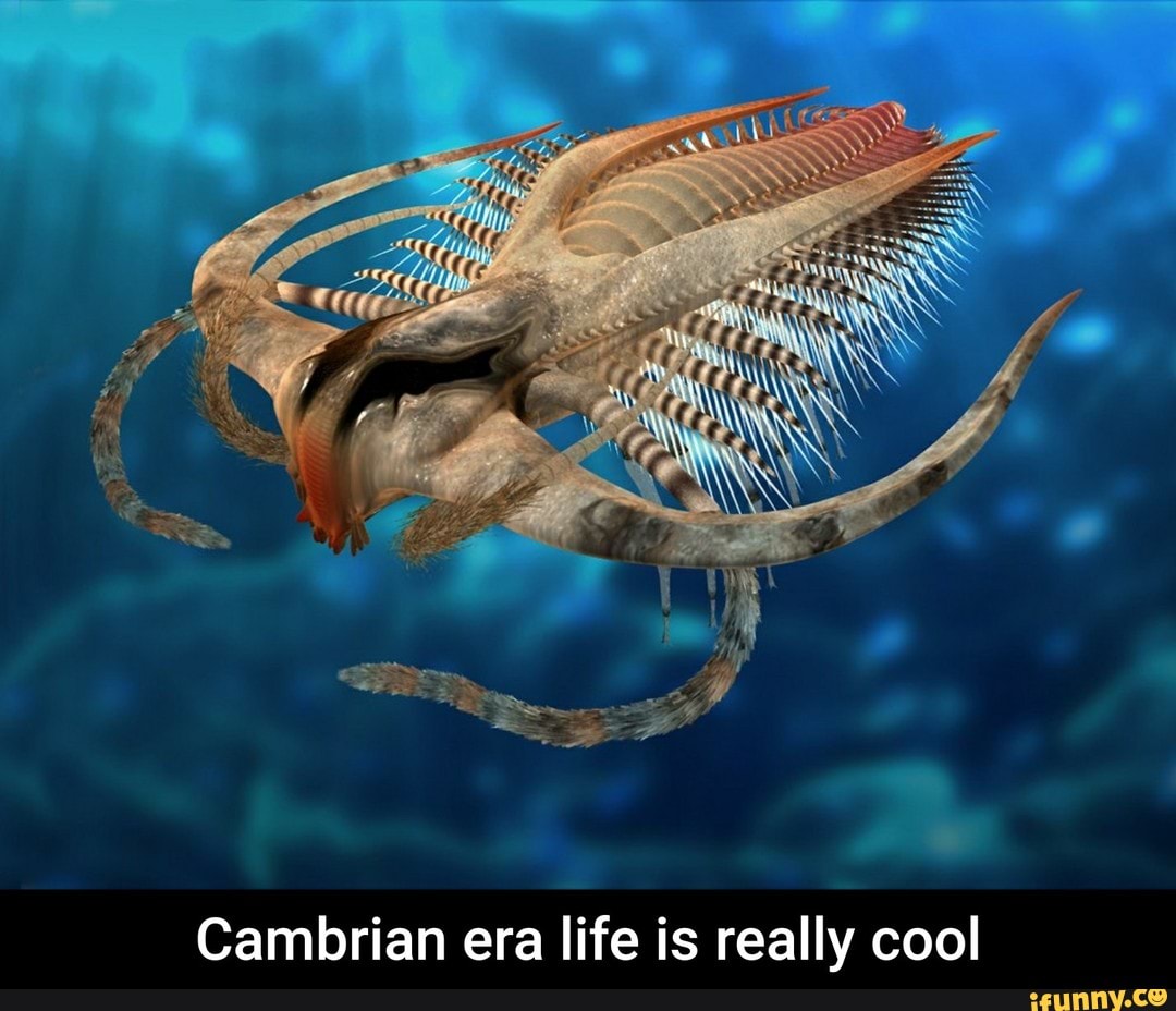 Pin by Zoe Patrick on endworld-2-cambrian in 2020 | Weird creatures ...