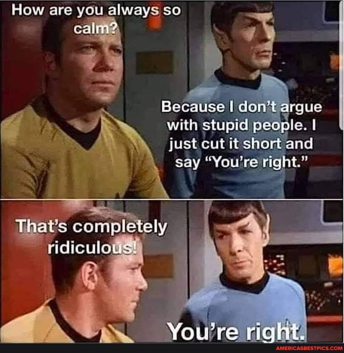 How are you always so call Because with stupid people. I just cut "You ...