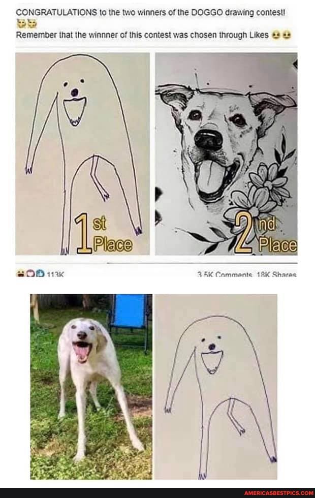 CONGRATULATIONS to the two winners of the DOGGO drawing contest ...