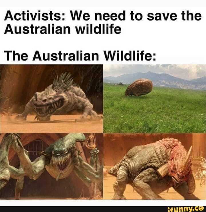 Activists: We need to save the Australian wildlife The Australian ...