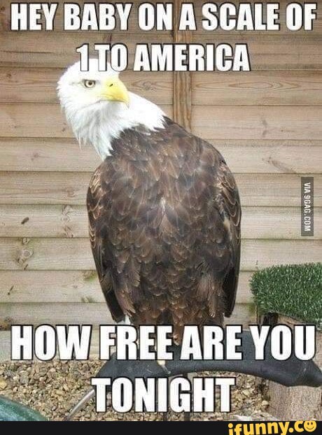 HEY BABY ON A SCALE OF HOW FREE ARE YOU JONIGHT - iFunny