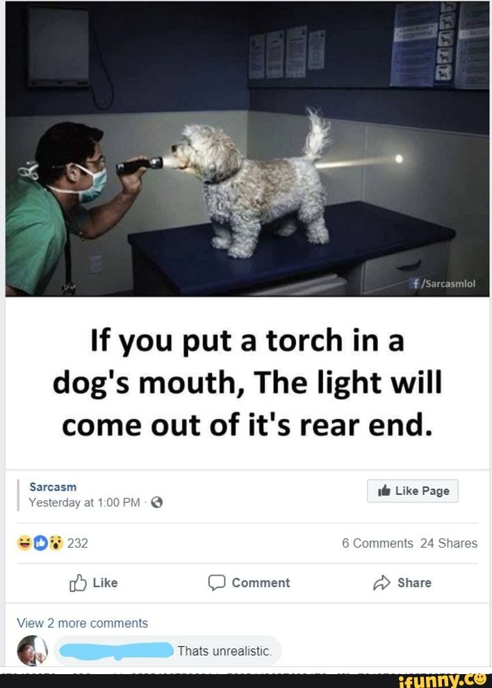 If you put a torch in a dog's mouth, The light will come out of it's ...