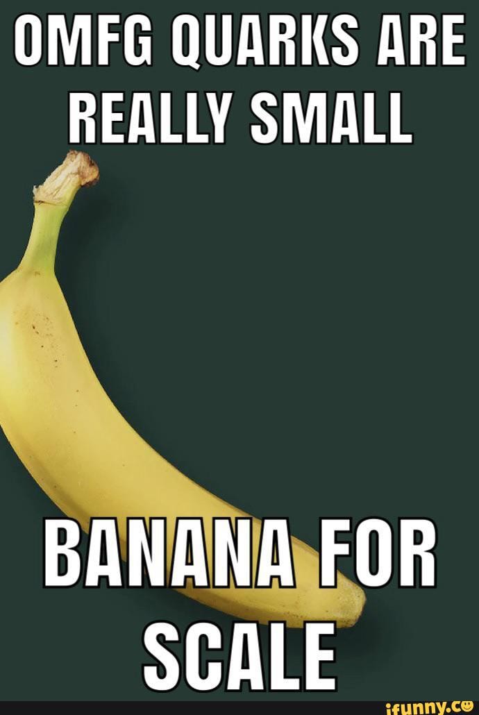 Quarks memes. Best Collection of funny Quarks pictures on iFunny