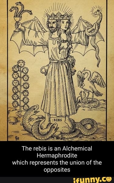 The rebis is an Alchemical Hermaphrodite which represents the union of ...