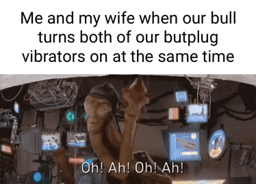 Butplug memes. Best Collection of funny Butplug pictures on iFunny
