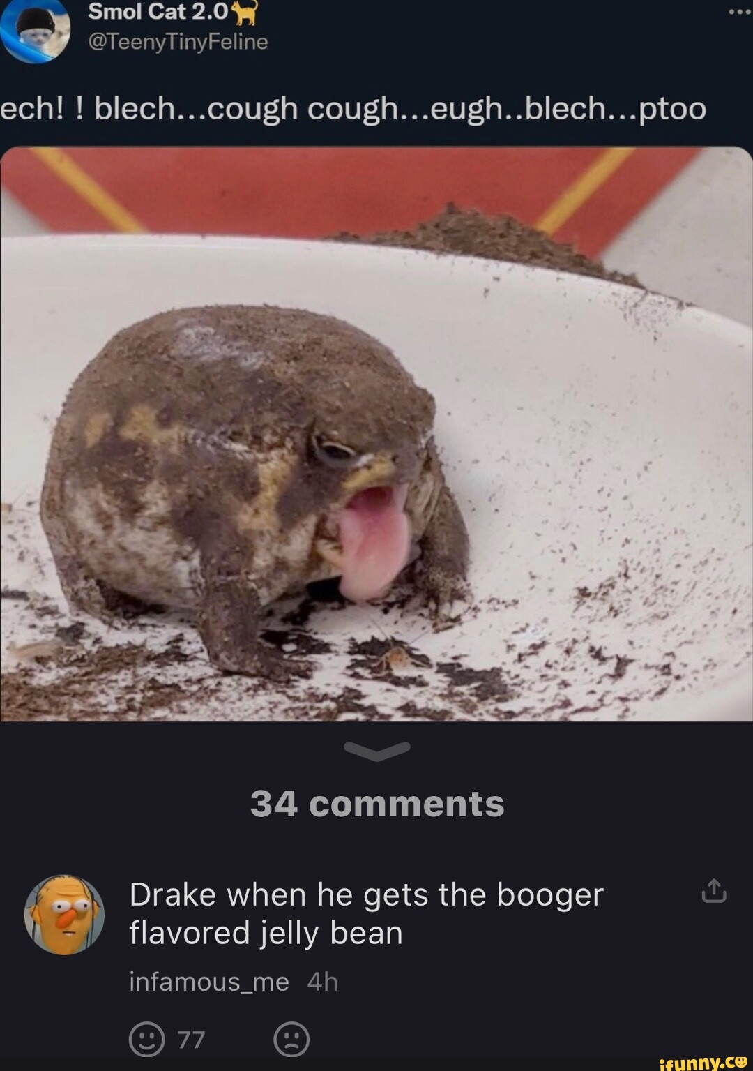 Steonytinyfeline memes. Best Collection of funny Steonytinyfeline ...