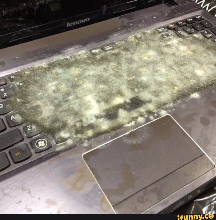 Cursed_computer memes. Best Collection of funny Cursed_computer ...