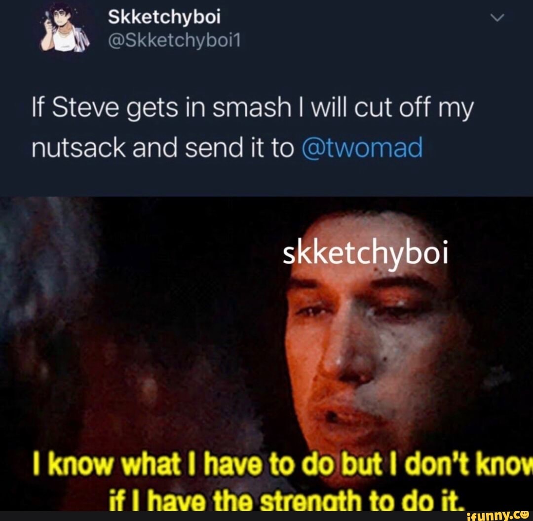 If Steve gets in smash I will cut off my nutsack and send it to @twomad ...