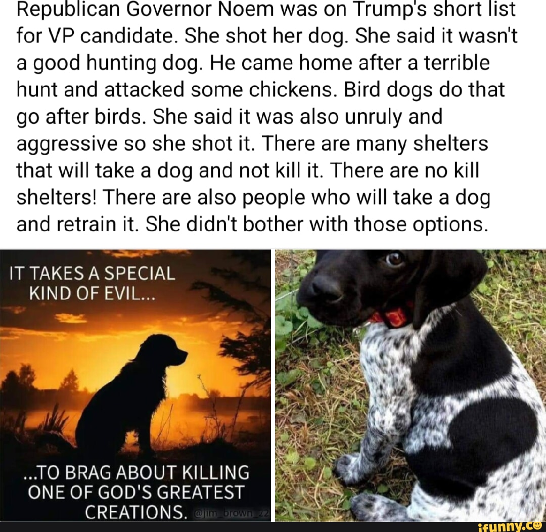 Noem memes. Best Collection of funny Noem pictures on iFunny