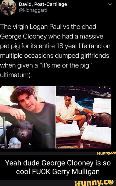 David, Post-Cartilage The virgin Logan Paul vs the chad George Clooney who had a massive pet pig ...