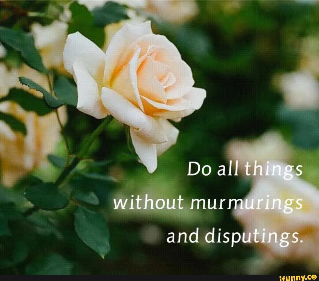 Do all things without murmurings and disputings. - iFunny
