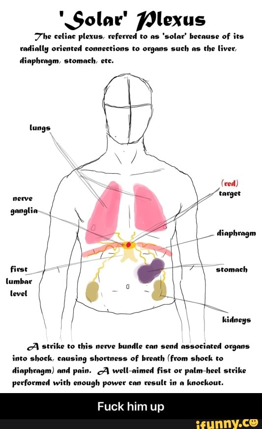 "Solar" Plexus The celine plexus, referred to as "solar" because of its ...