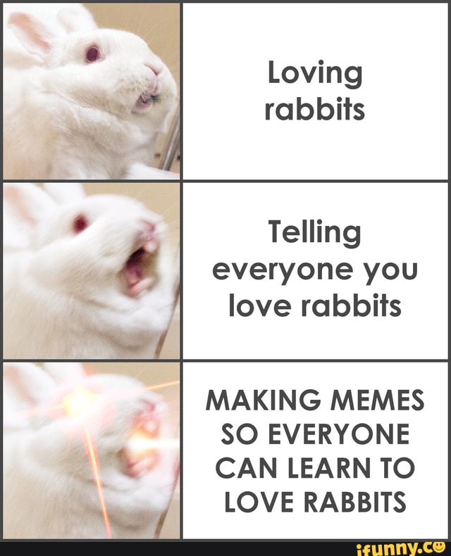 Loving rabbits Telling everyone you love rabbits MAKING MEMES SO ...