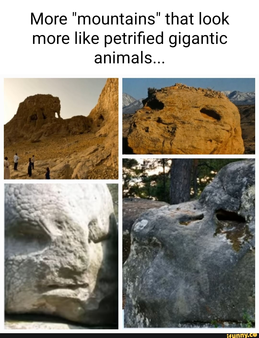 More "mountains" that look more like petrified gigantic animals... - iFunny