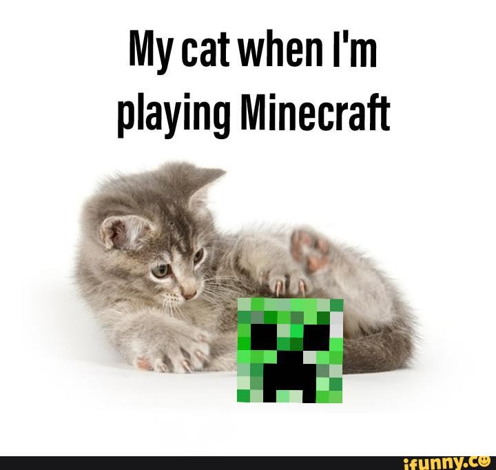 My cat when I'm playing Minecraft - iFunny