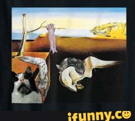 The_persistence_of_memory memes. Best Collection of funny The ...