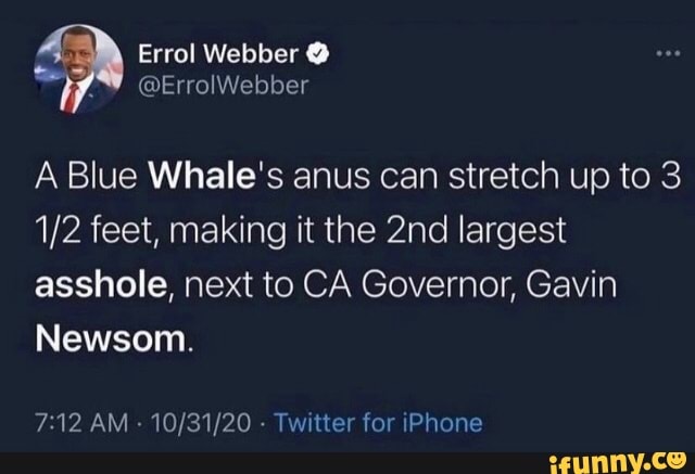 In Errol Webber @ "if @ErrolWebber A Blue Whale's anus can stretch up ...