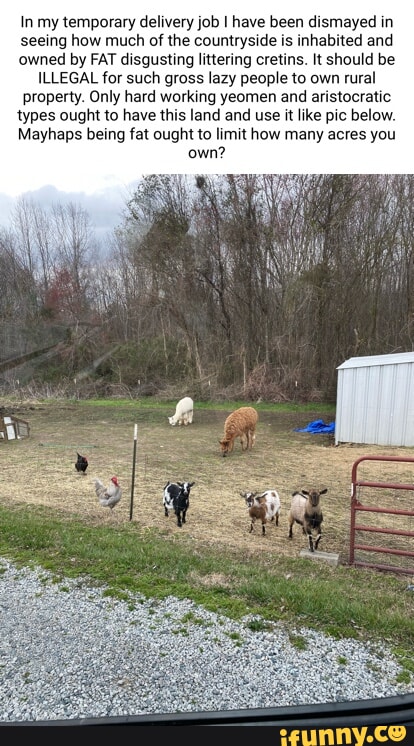 Littering memes. Best Collection of funny Littering pictures on iFunny