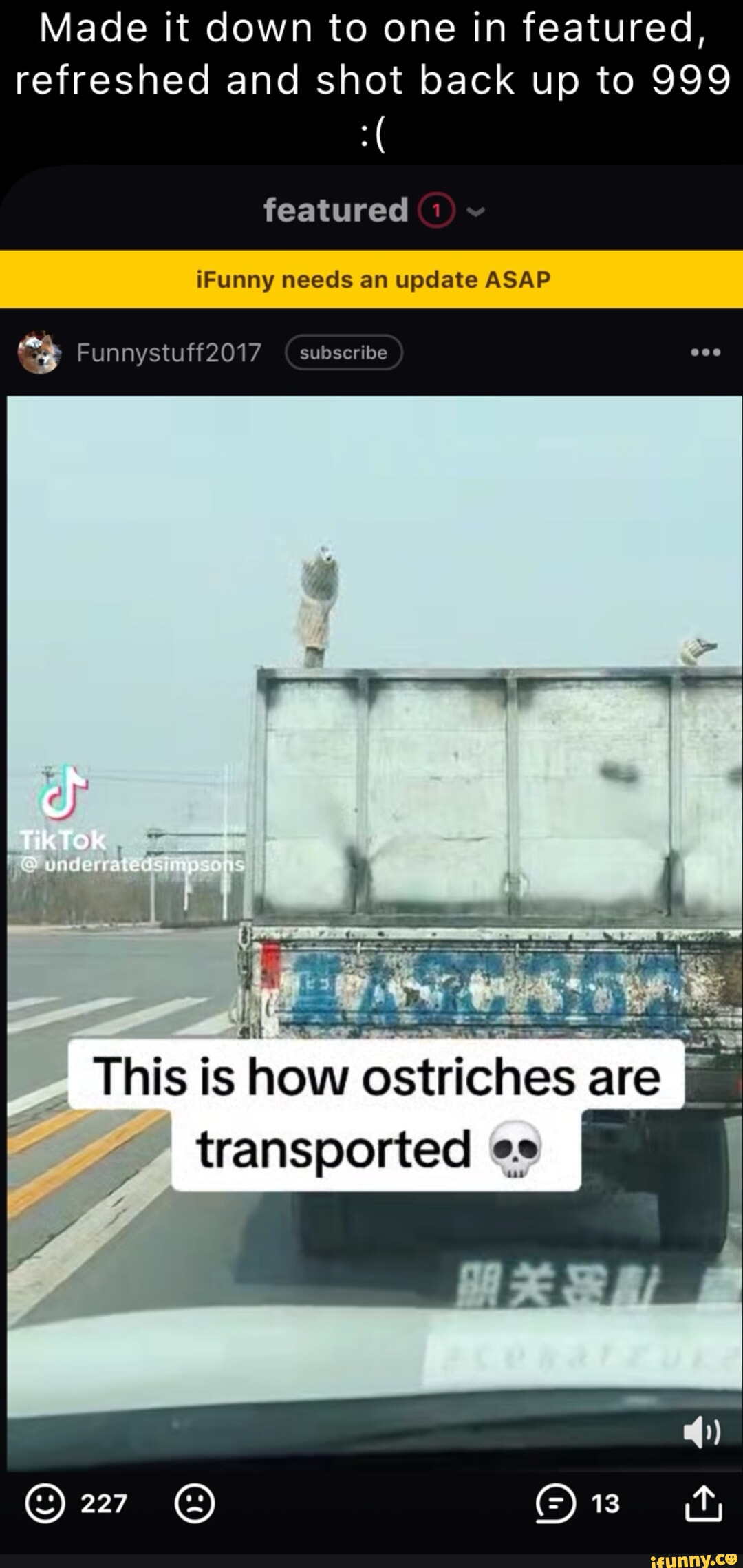Ostriches memes. Best Collection of funny Ostriches pictures on iFunny
