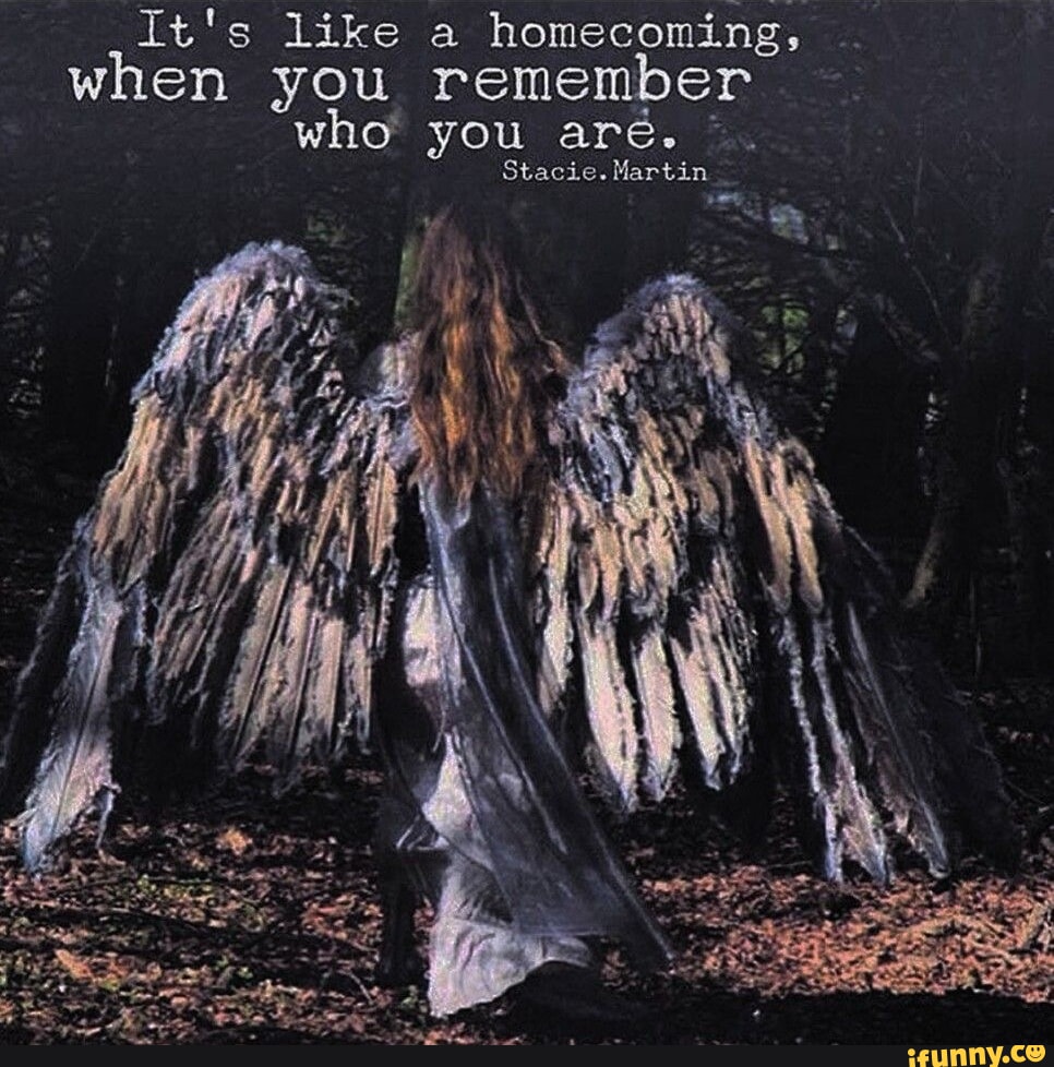Homecoming memes. Best Collection of funny Homecoming pictures on iFunny