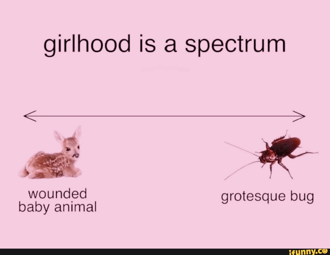 Girlhood is a spectrum wounded grotesque bug baby animal - iFunny