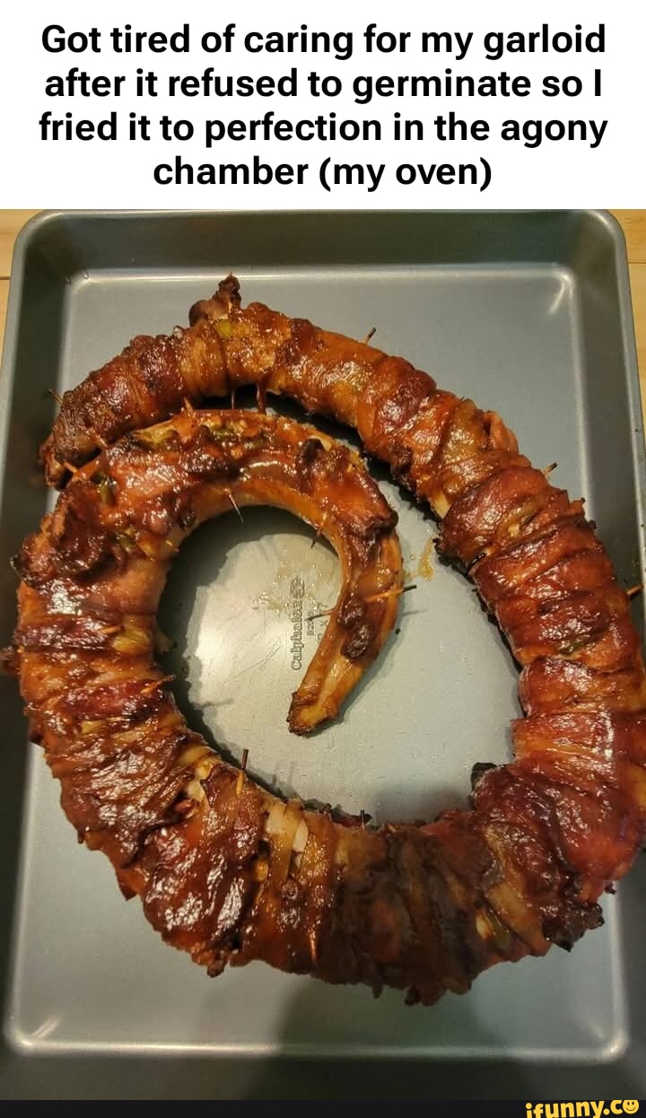 Garloid memes. Best Collection of funny Garloid pictures on iFunny