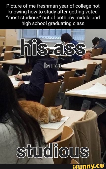 Picture of me freshman year of college not knowing how to study after ...
